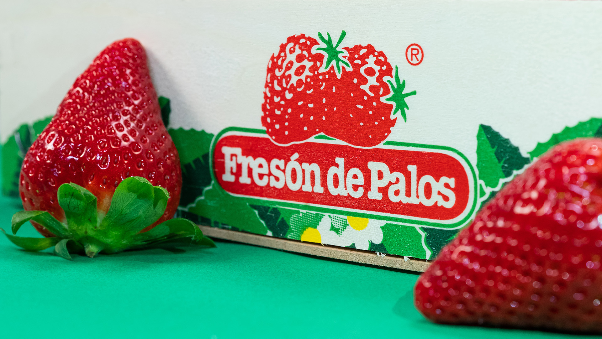 Fresón de Palos | Fresas, arándanos, frambuesas y moras